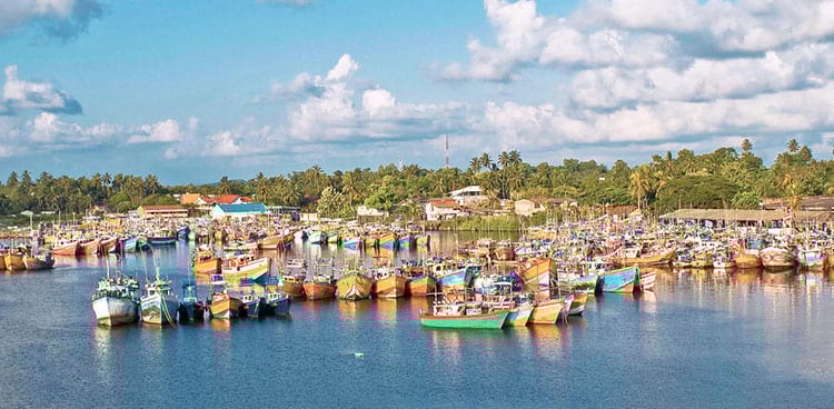 Beruwela - Triplanka Tours