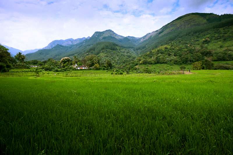 Monaragala - Triplanka Tours